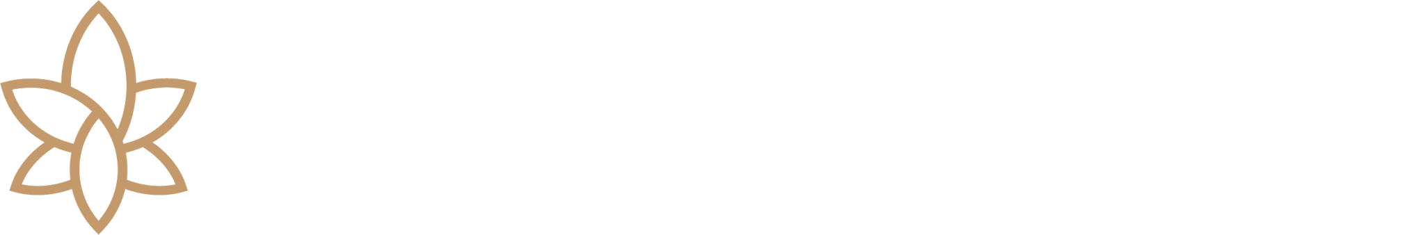 How to Write BIRP Notes (With Examples & Templates) - TheraPulse